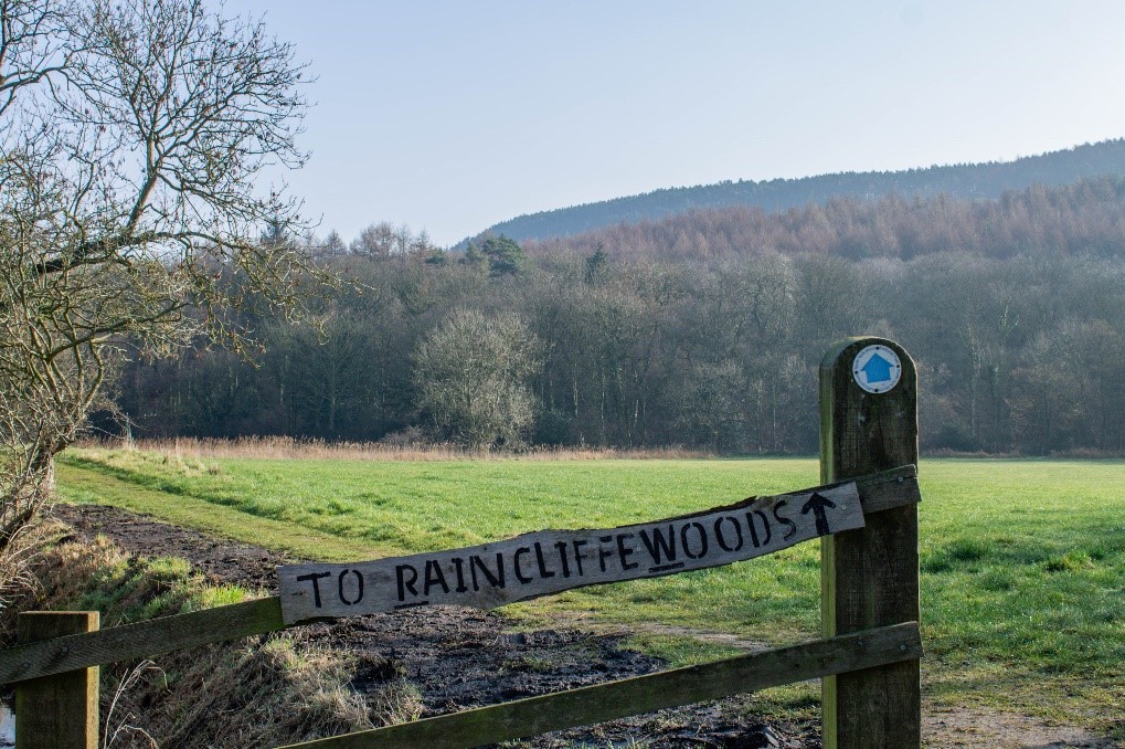 Hiking through Yorkshire’s Raincliffe Woods - Wêreldwyd