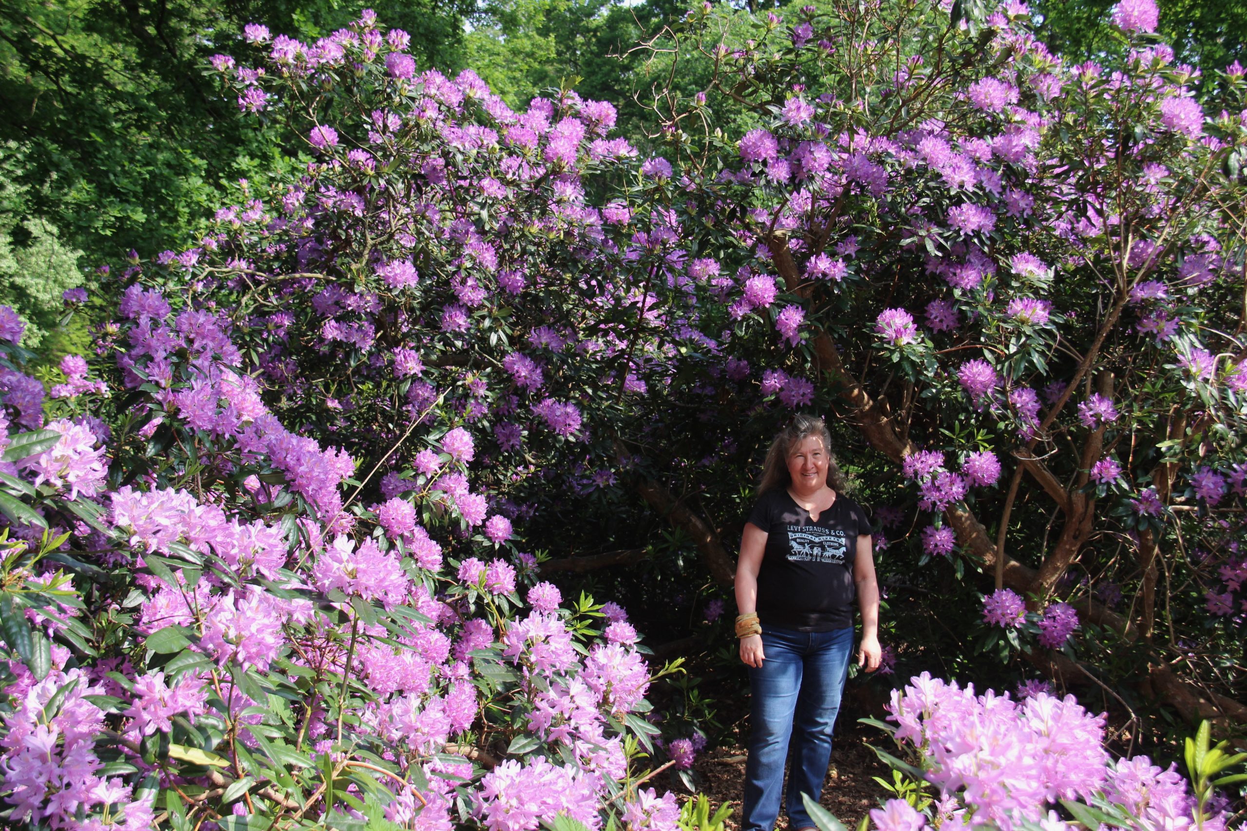 Kersgroete uit die Verenigde Koninkryk - Wêreldwyd
