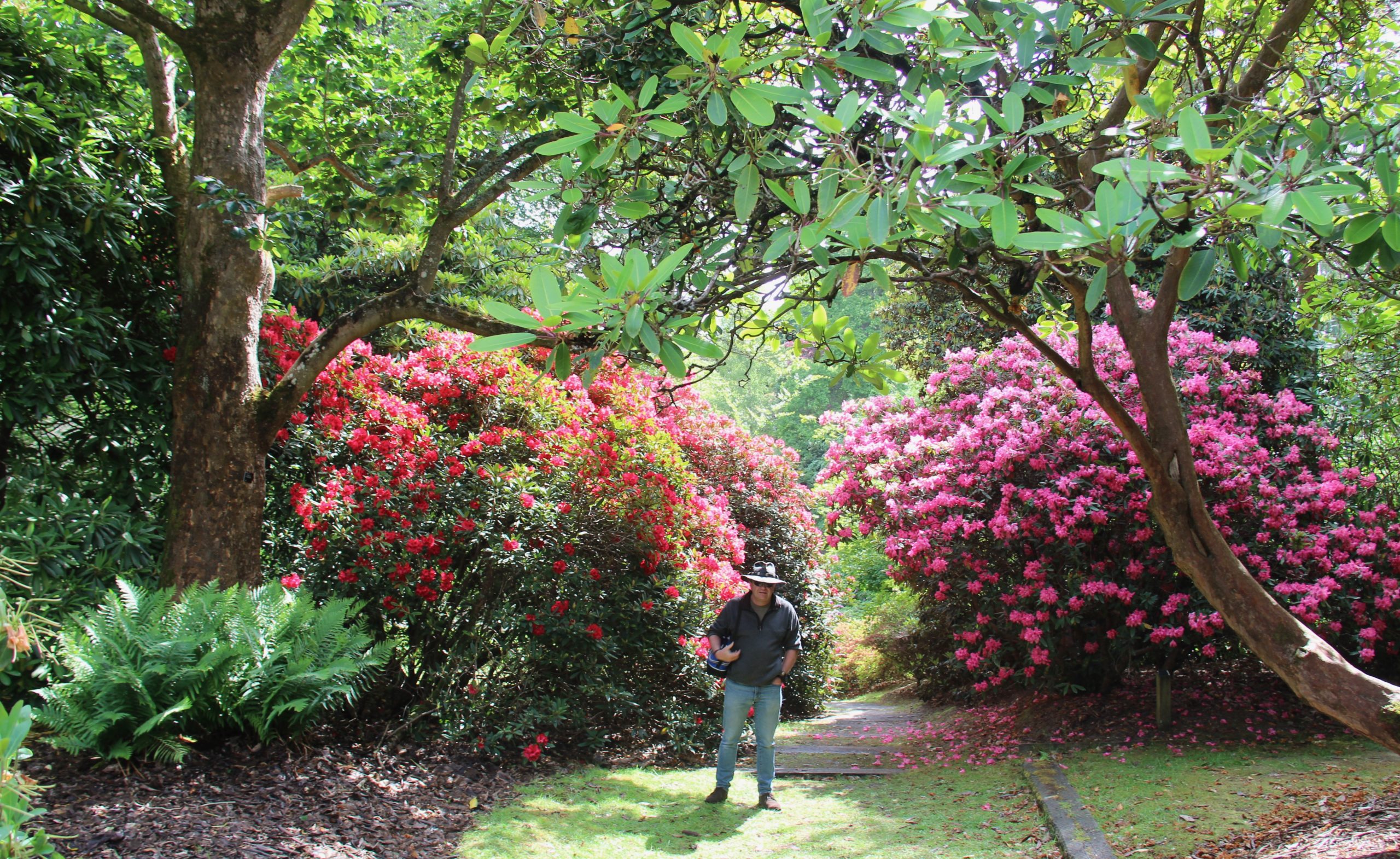 Kersgroete uit die Verenigde Koninkryk - Wêreldwyd