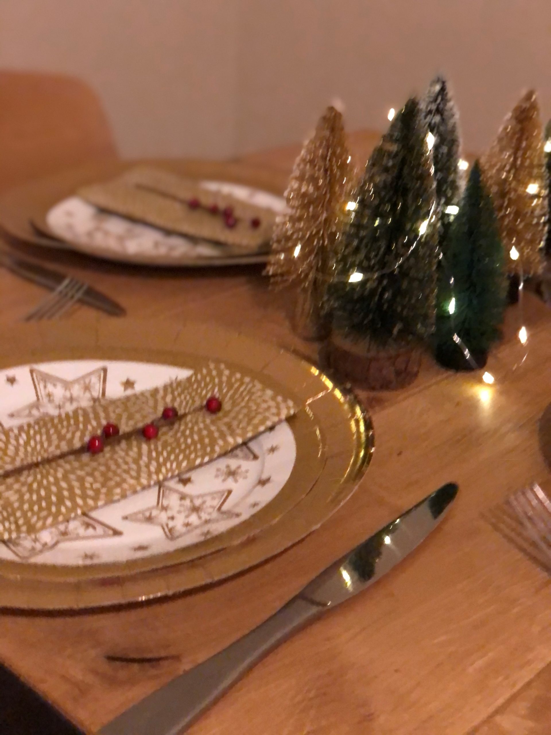 Kersfees in Frankryk - AfriForum Wêreldwyd