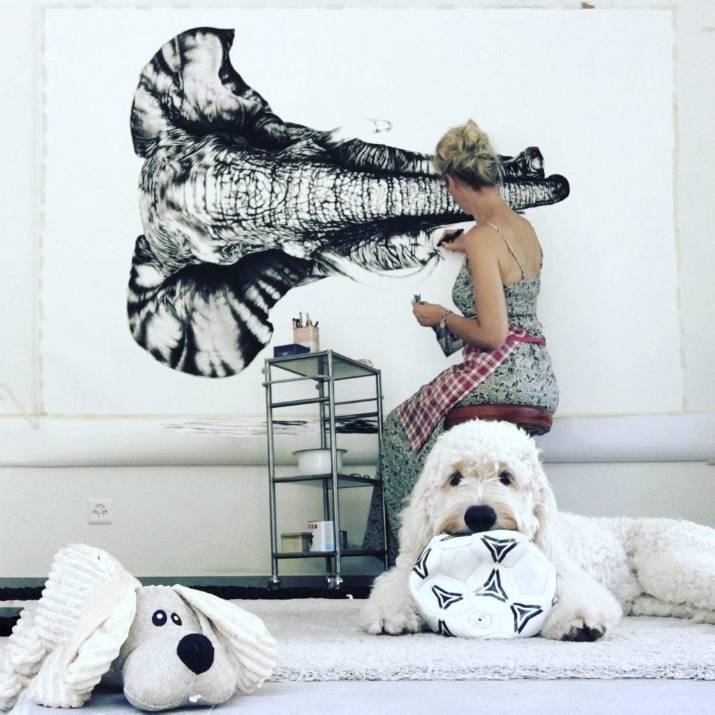 Nomadegade: Vind jou buffel - Wêreldwyd