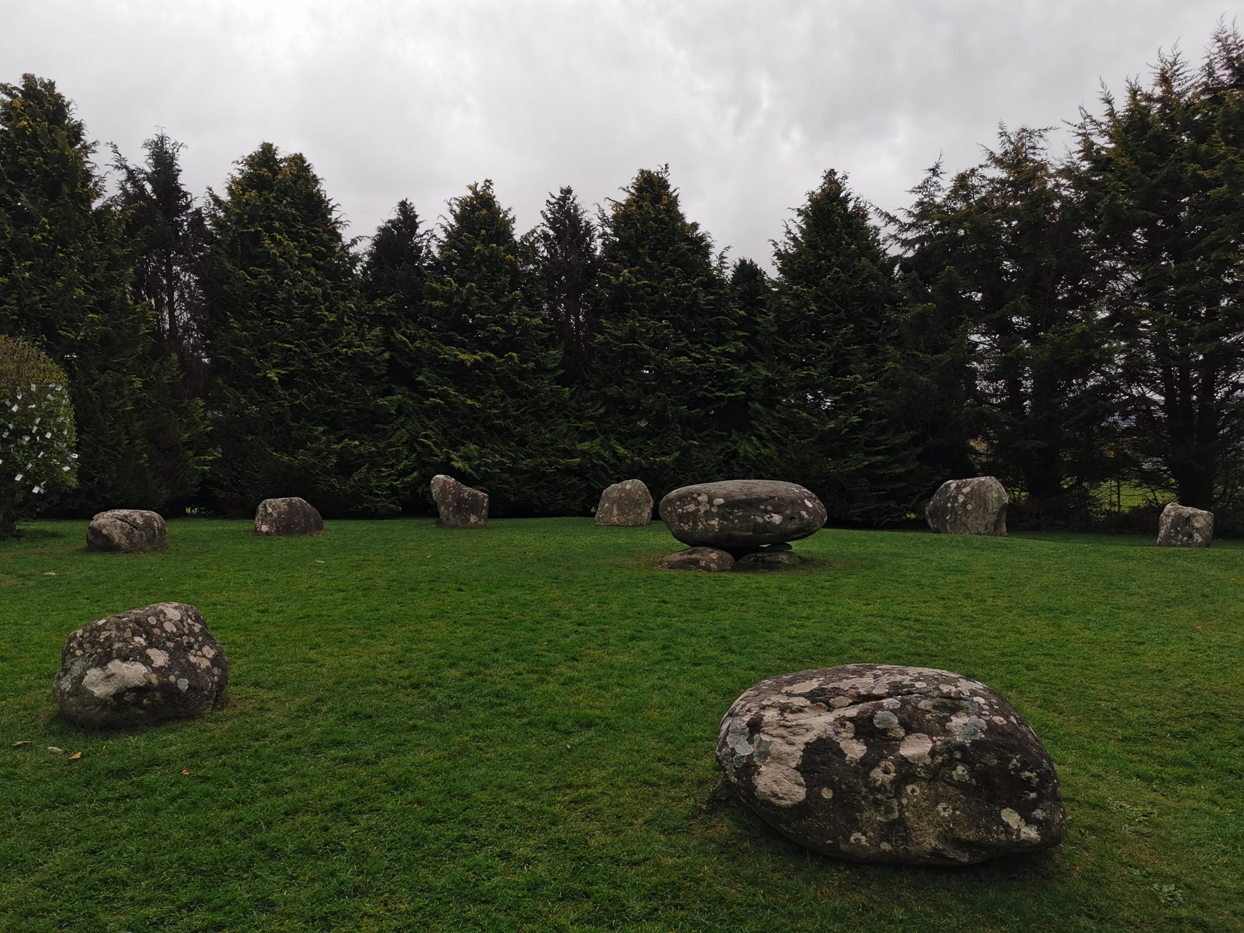 Out and about: an email from Ireland - AfriForum Wêreldwyd