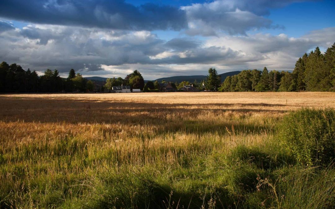 Die voordele van tweetaligheid - Wêreldwyd