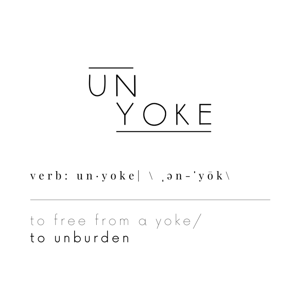 Business in the Spotlight: Unyoke - Wêreldwyd